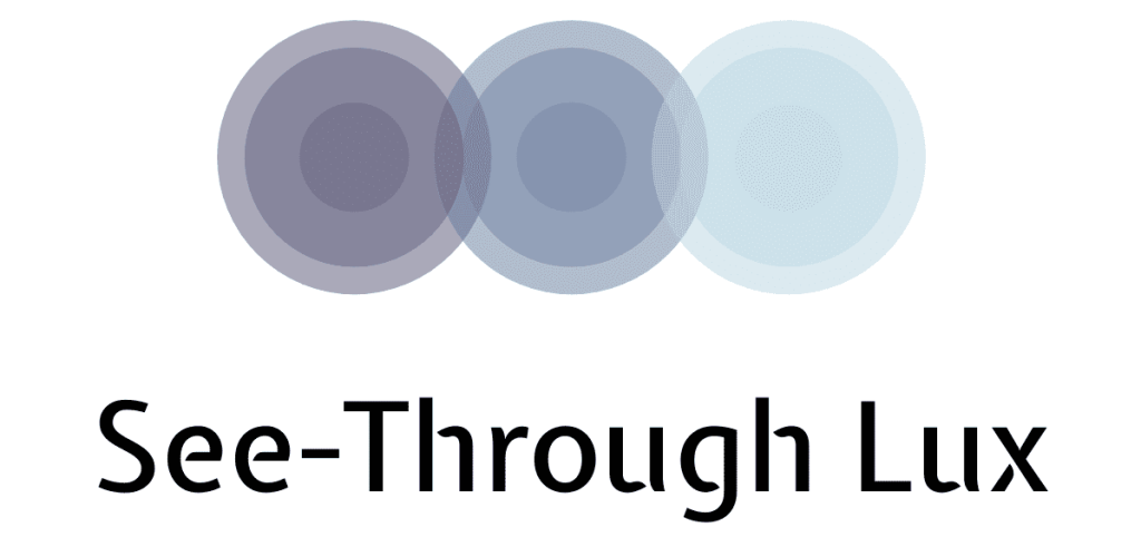 Make Holidays Irresistible With Stunning See-Through Lingerie - See ...